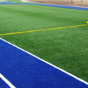 Court Turf Pe 19mm Colours | Artificial Grass Shop